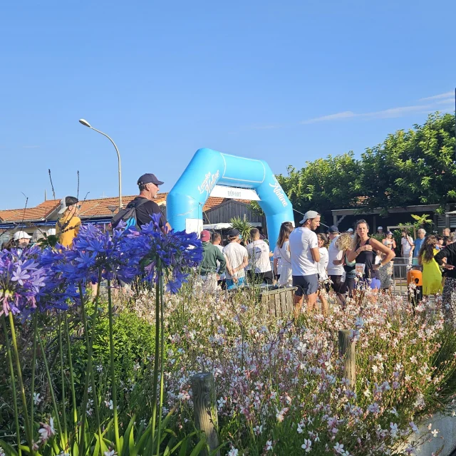 Home | Welcome to Monta